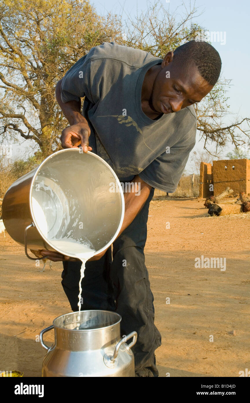 Farmer Pouring Milk High Resolution Stock Photography and Images - Alamy