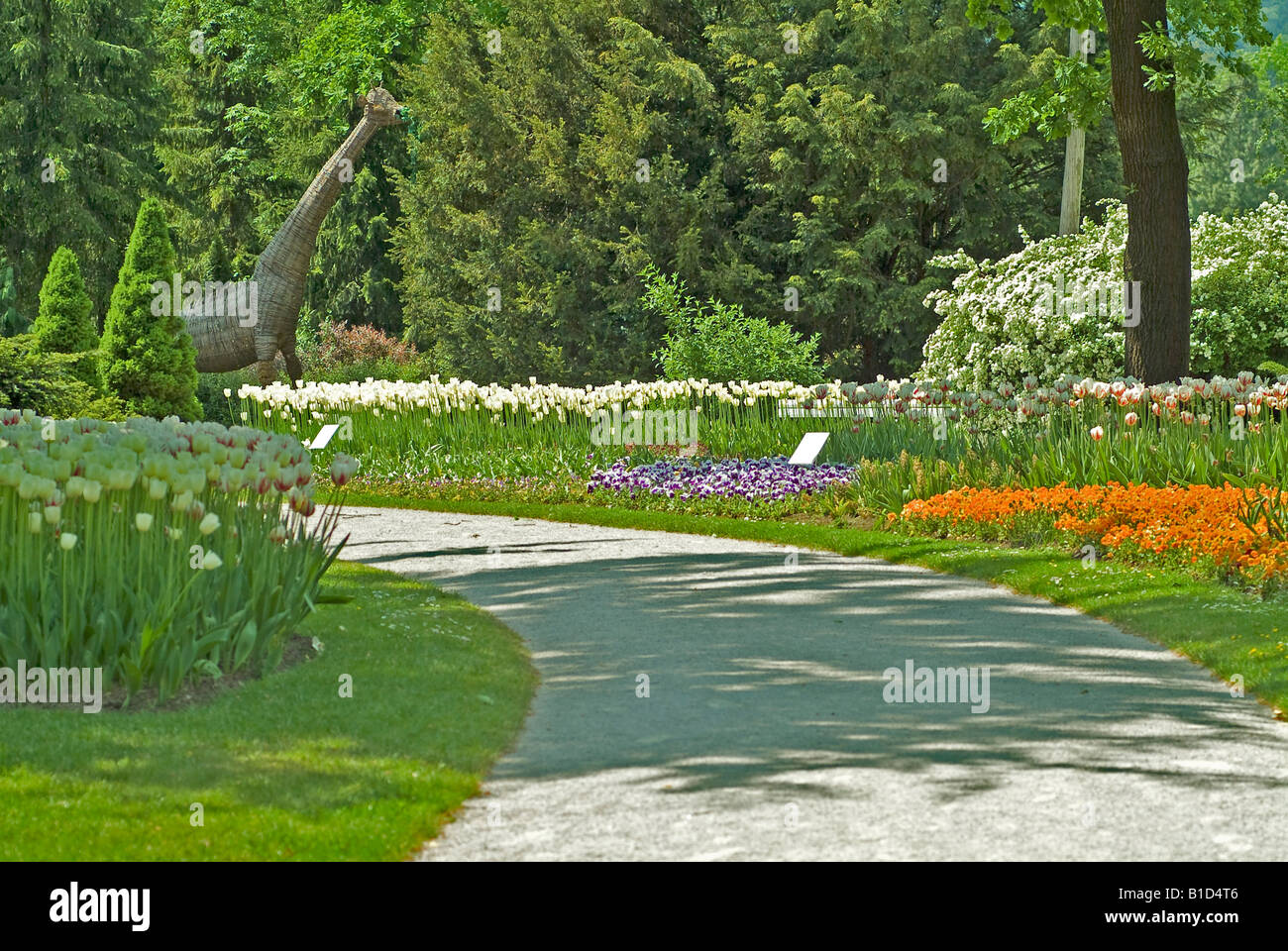 garden with a road through blooming flowers in flowerbed in different ...