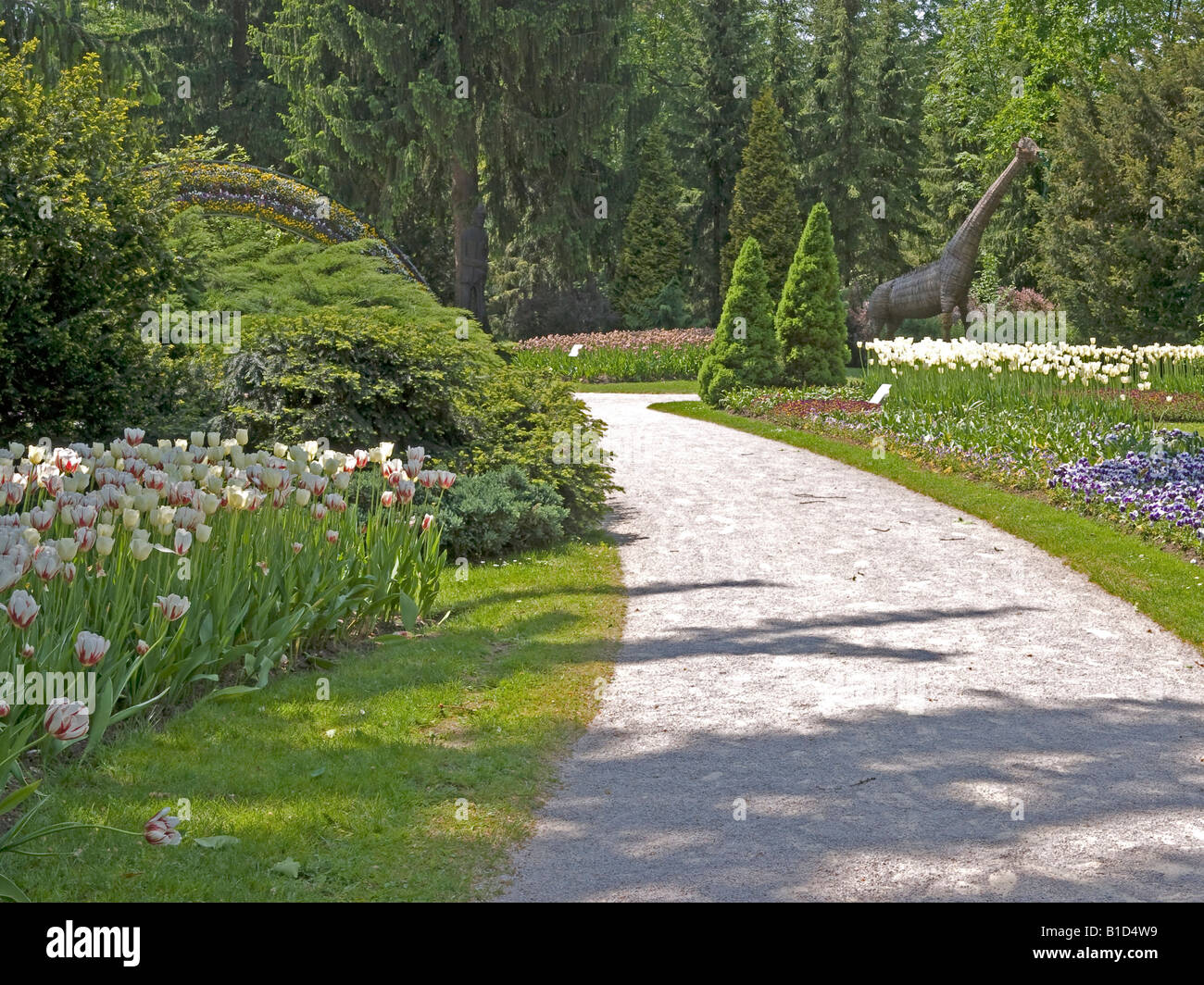 garden with a road through blooming flowers in flowerbed in different ...