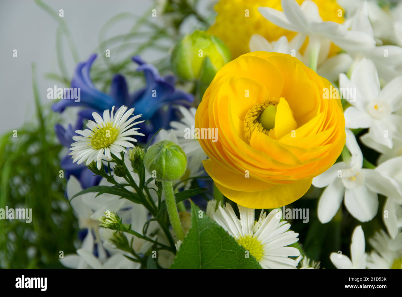 Close up View of a Bouquet of White Yellow and Blue Spring Flowers ...