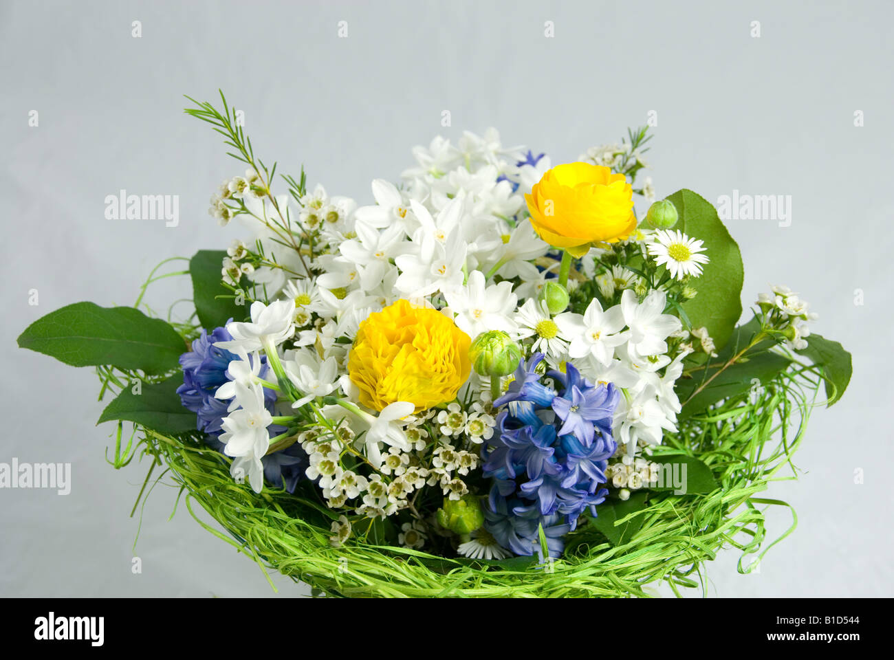 Bouquet of White Yellow and Blue Spring Flowers Cut Out Against White ...