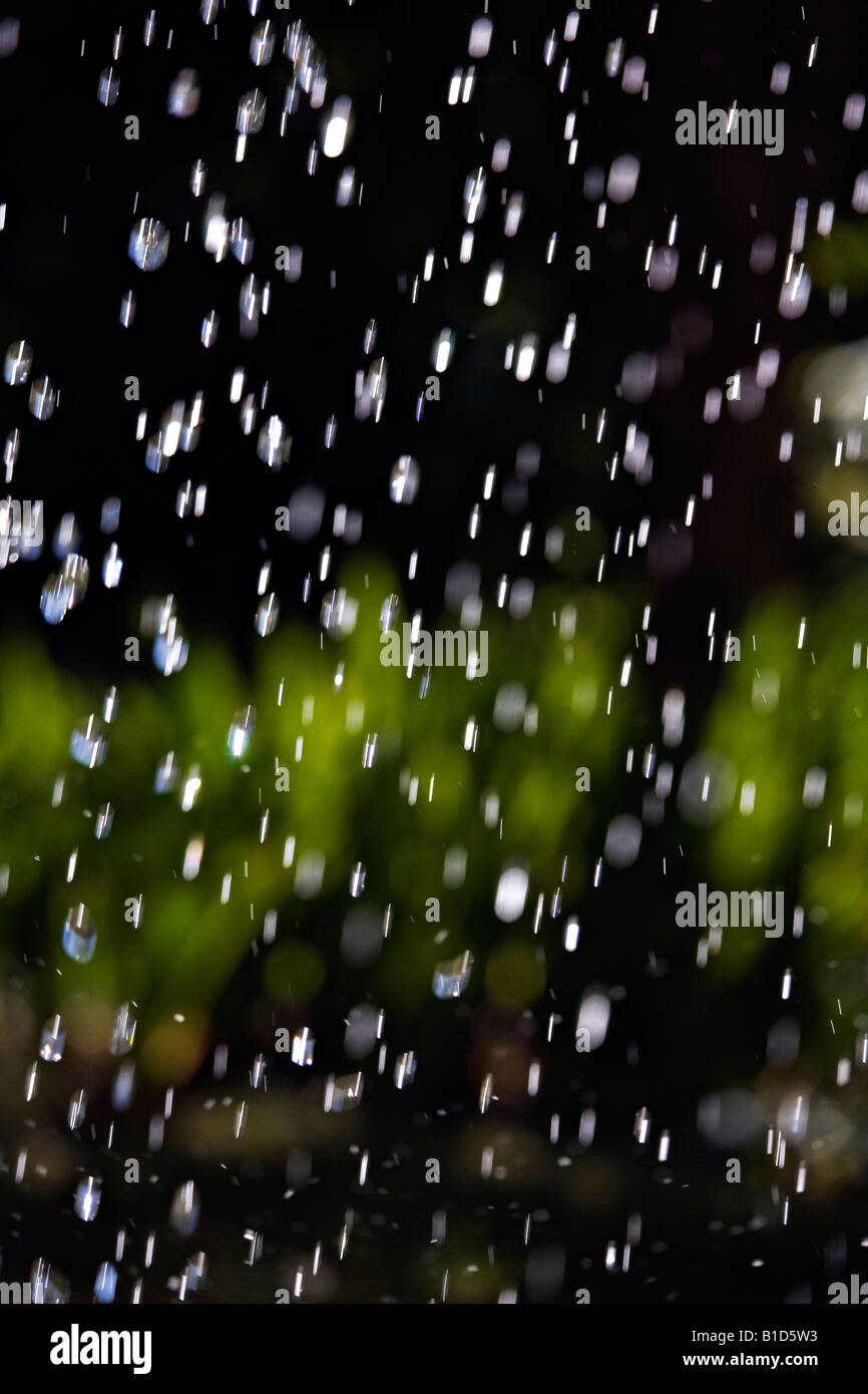 Falling waterdrops while water the garden in Kaugurciems Jurmala Latvia ...