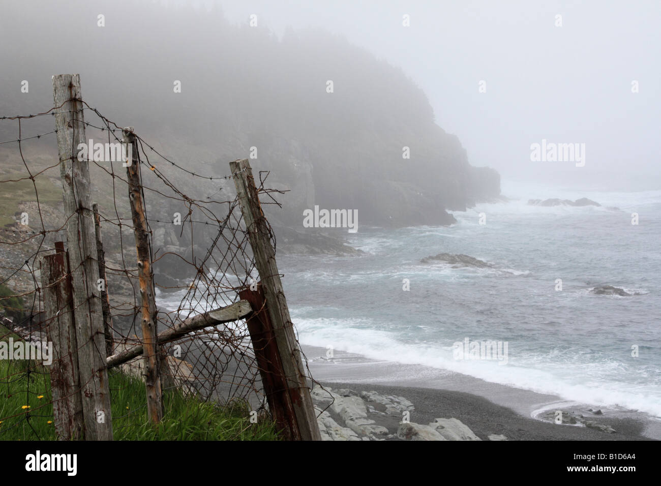 Heavy fog and ragging waves upon rugged shoreline at Logy Bay Middle ...