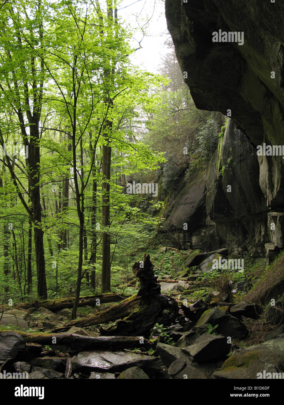 Quilliams hi-res stock photography and images - Alamy