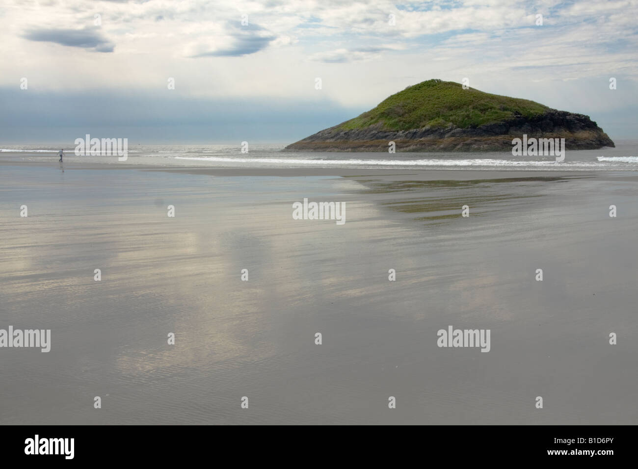 Pacific rim park hi-res stock photography and images - Alamy