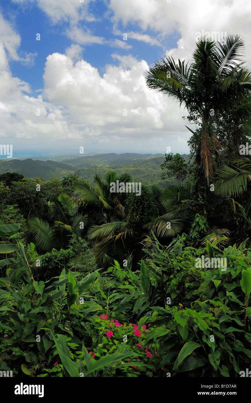 Yokahu Tower and Observation Point in the El Yunque Caribbean National ...