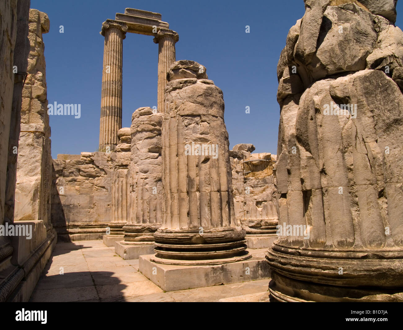 Columns of the Temple Stock Photo - Alamy
