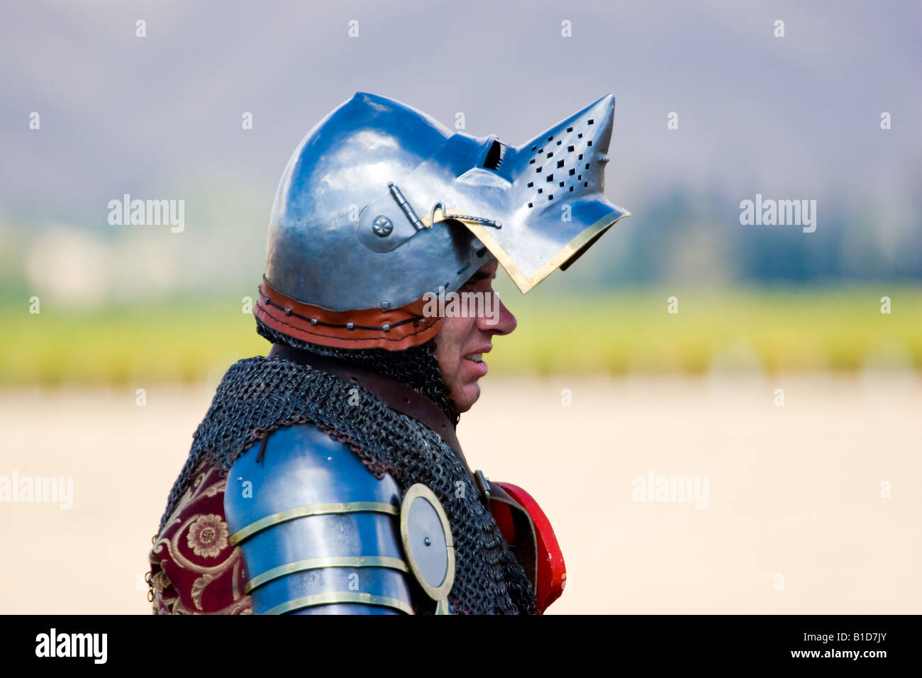 Knight joust break hi-res stock photography and images - Alamy