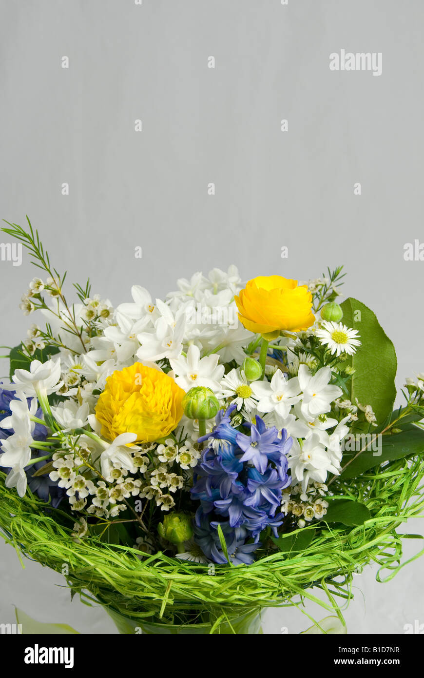 Bouquet of White Yellow and Blue Spring Flowers Cut Out Against White ...