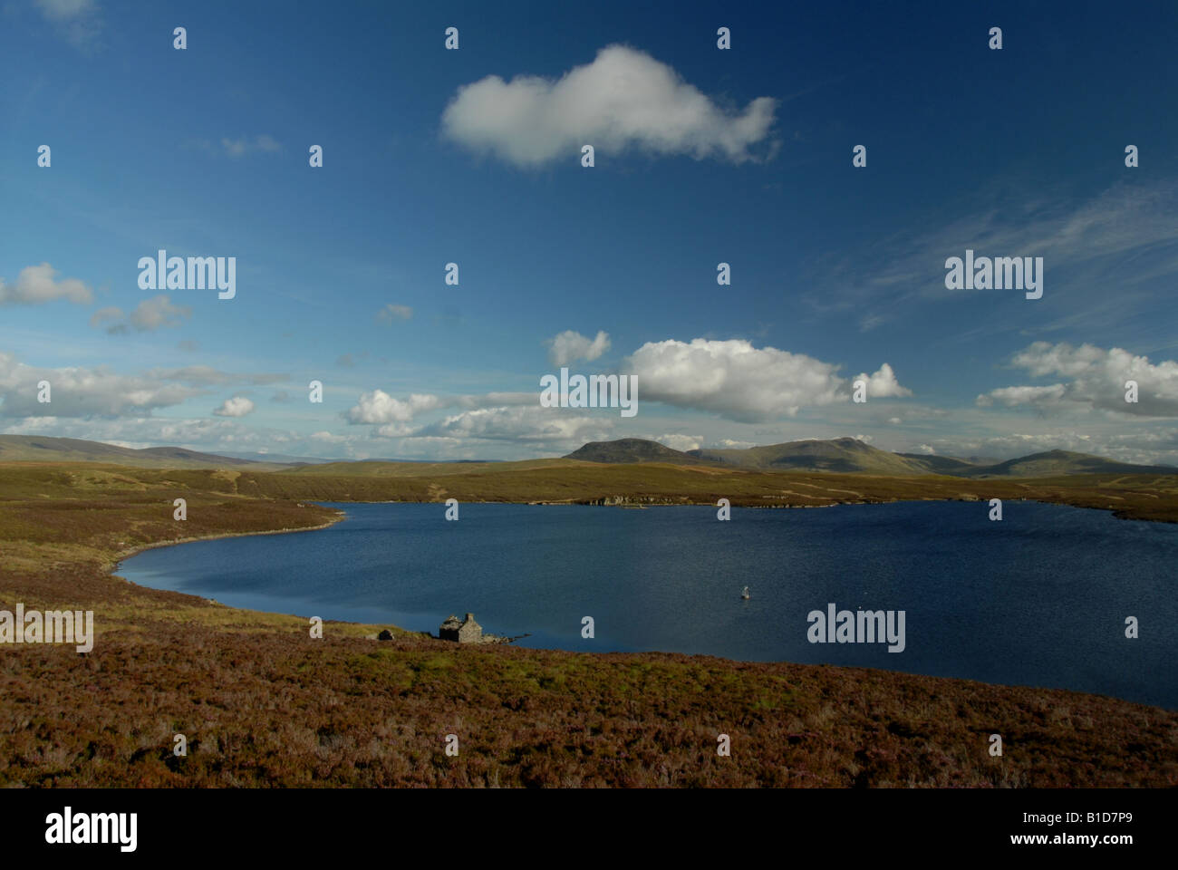 Llyn Conwy source of the River Conwy Mignient Conwy Stock Photo - Alamy