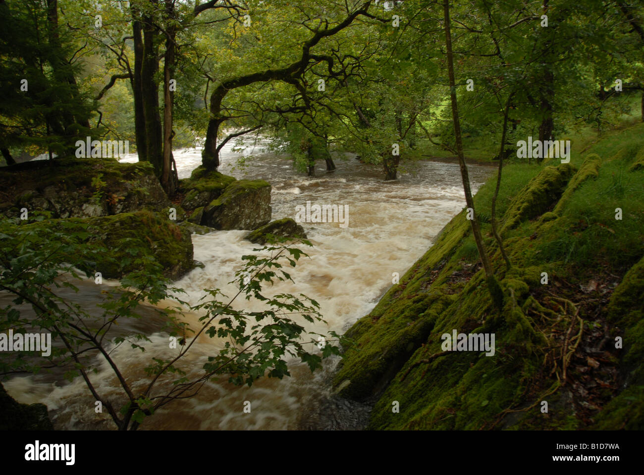Afon lledr river hi-res stock photography and images - Alamy