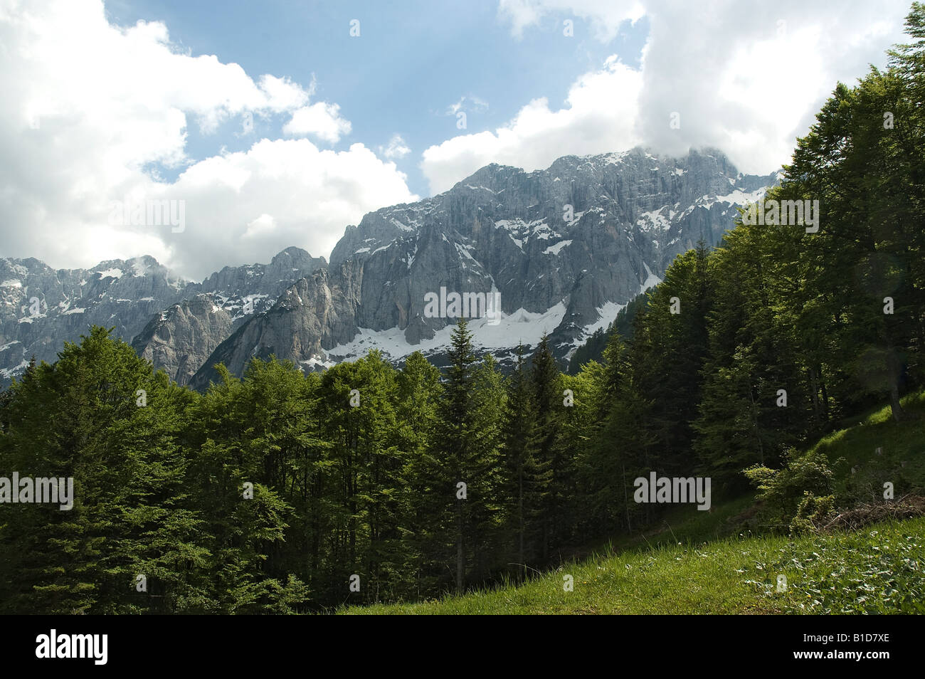 The north face of Jof di Montasio mount Stock Photo - Alamy