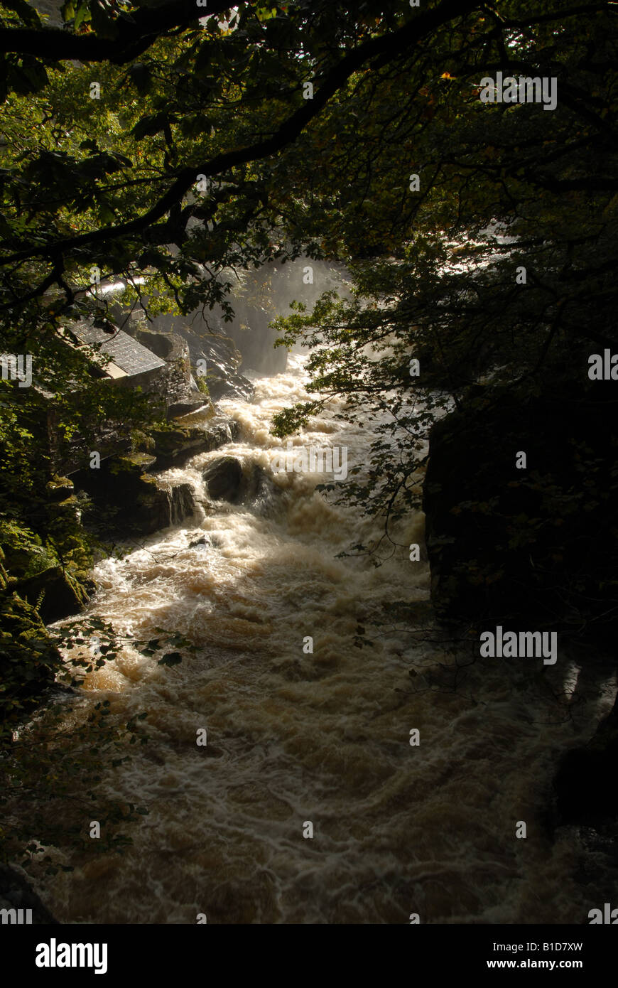 River Machno after Heavy Rain Stock Photo - Alamy