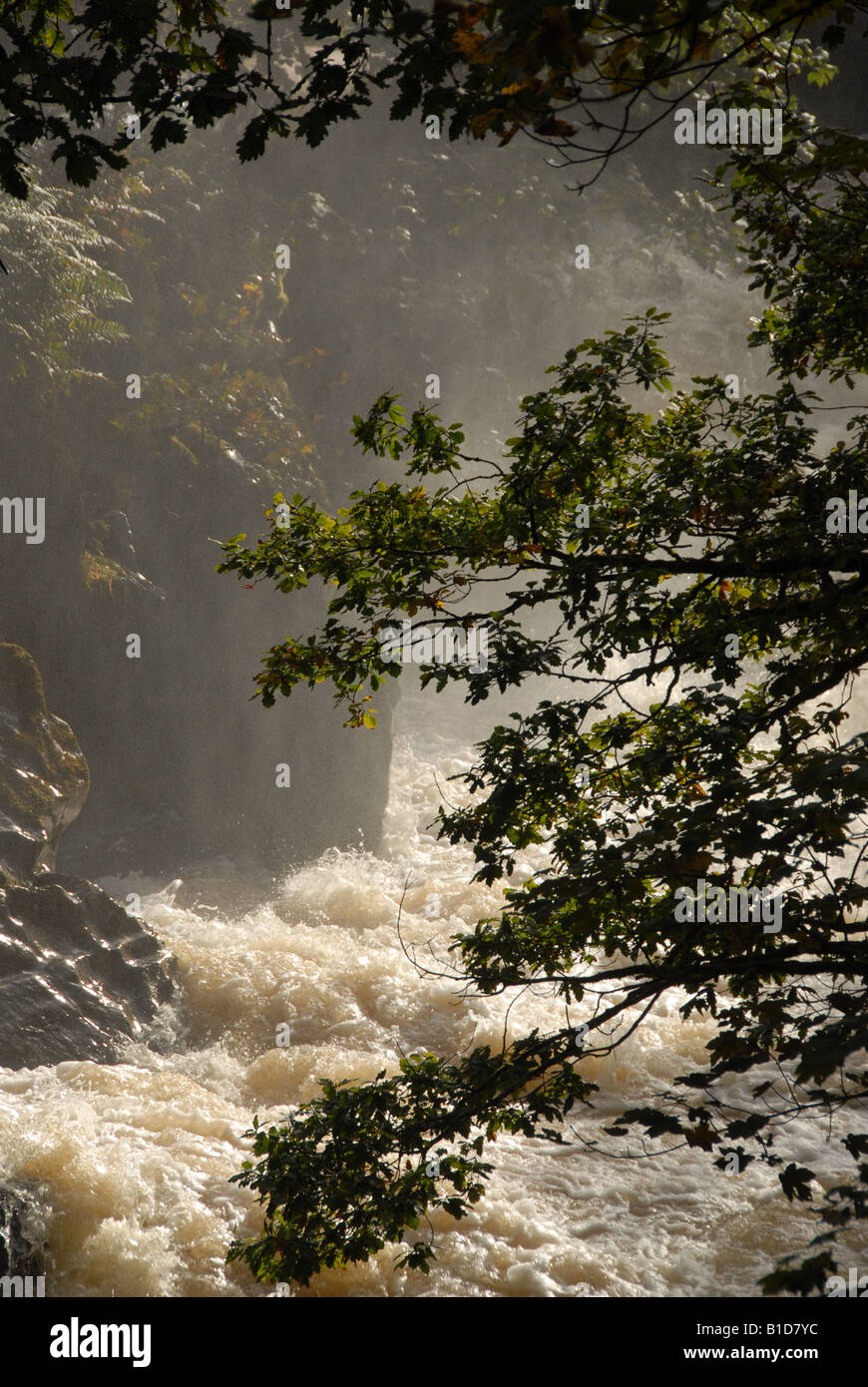 River Machno after Heavy Rain Stock Photo - Alamy
