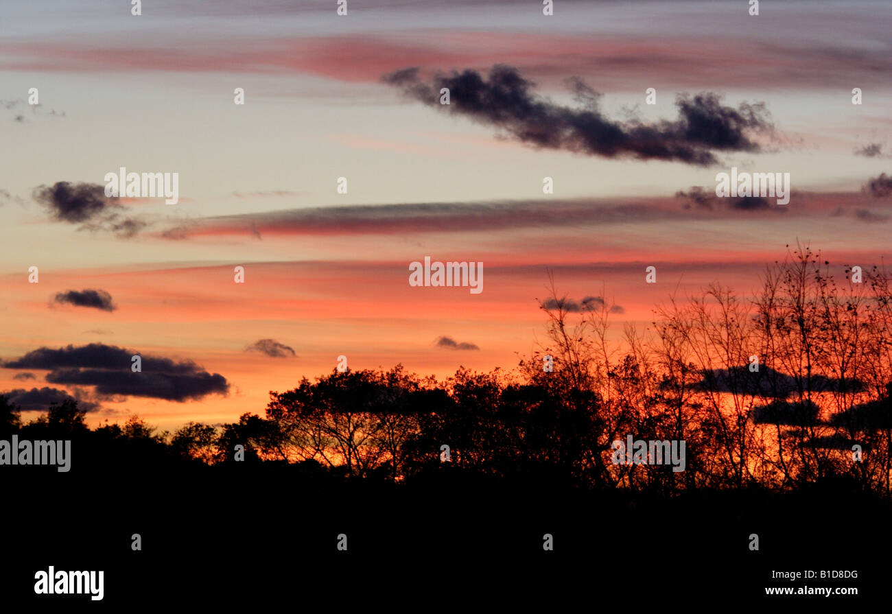 Magic evening light Stock Photo - Alamy