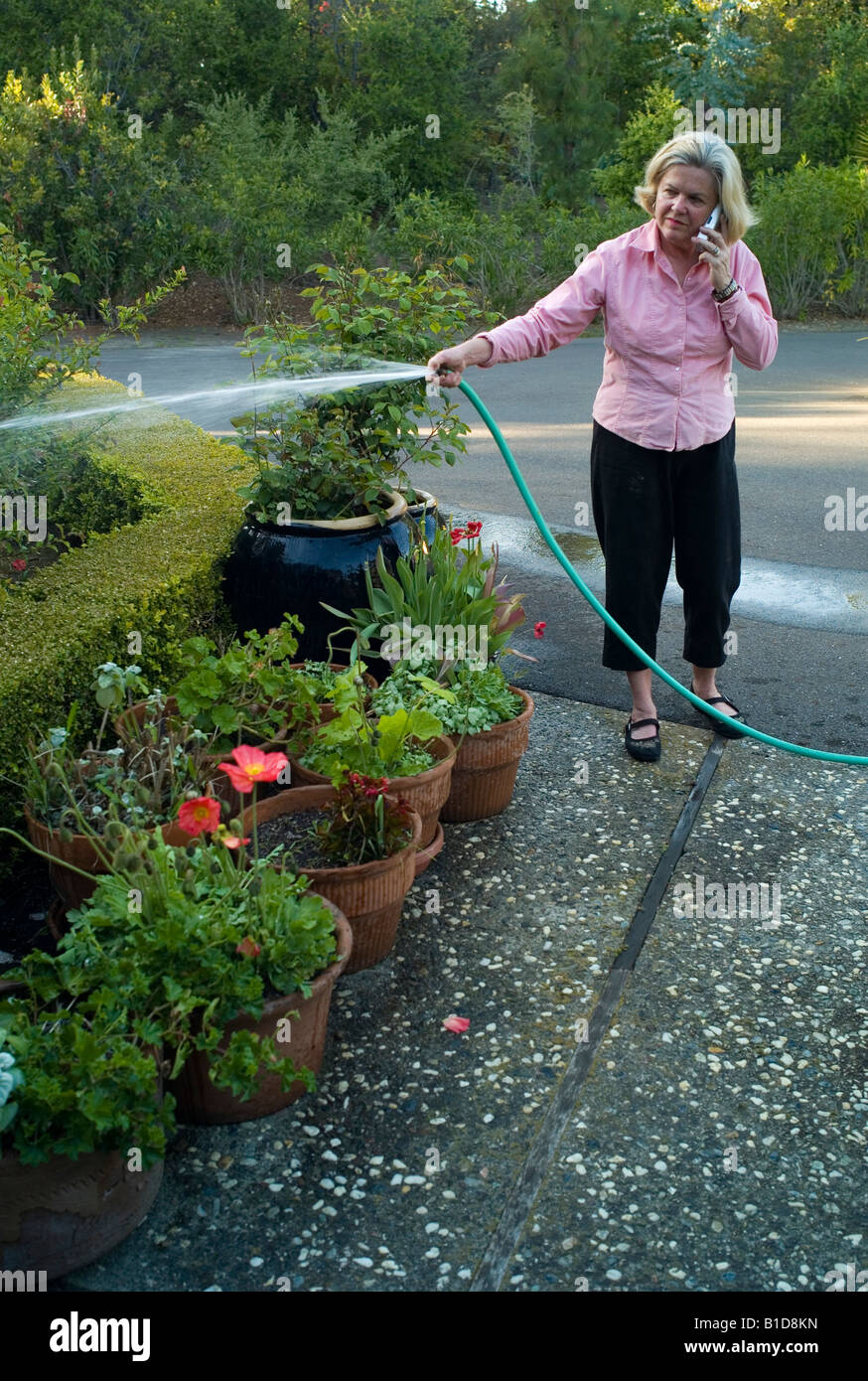 Woman talking on phone while watering garden California USA Stock Photo ...