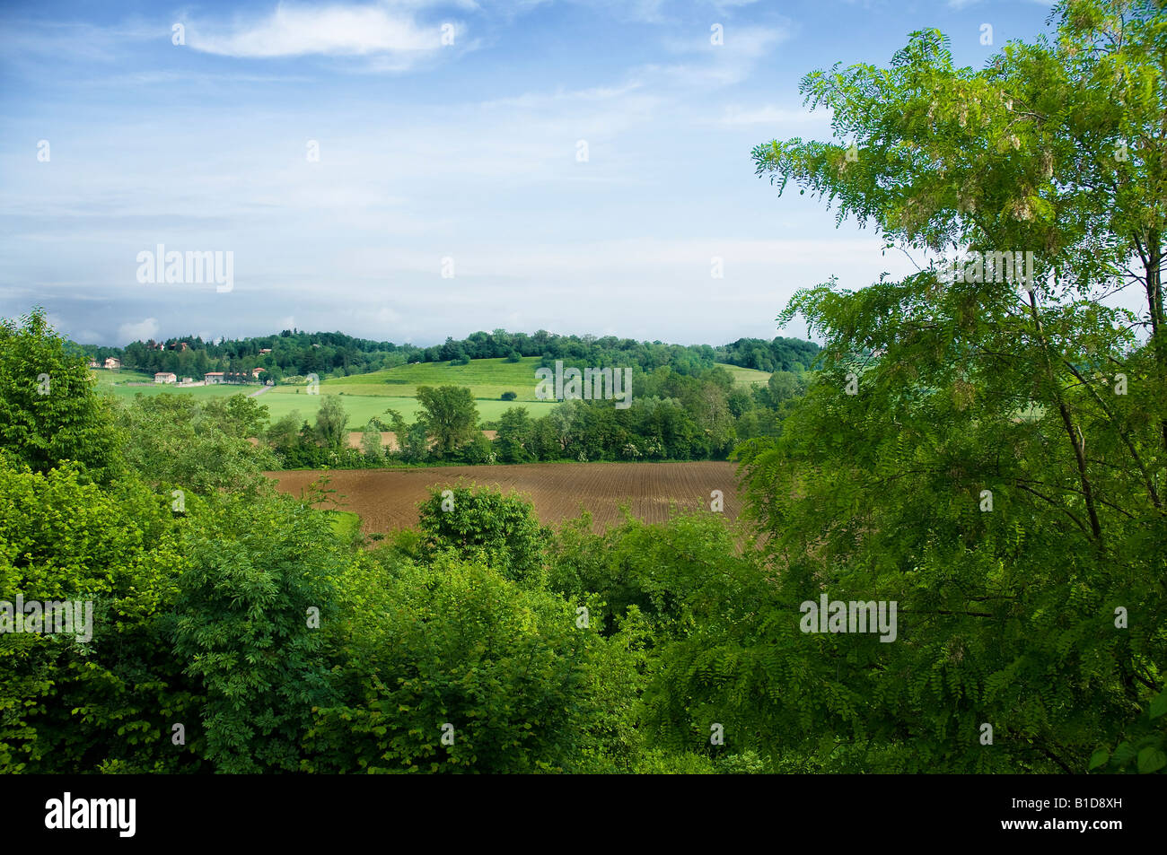 country summer landscape Stock Photo - Alamy
