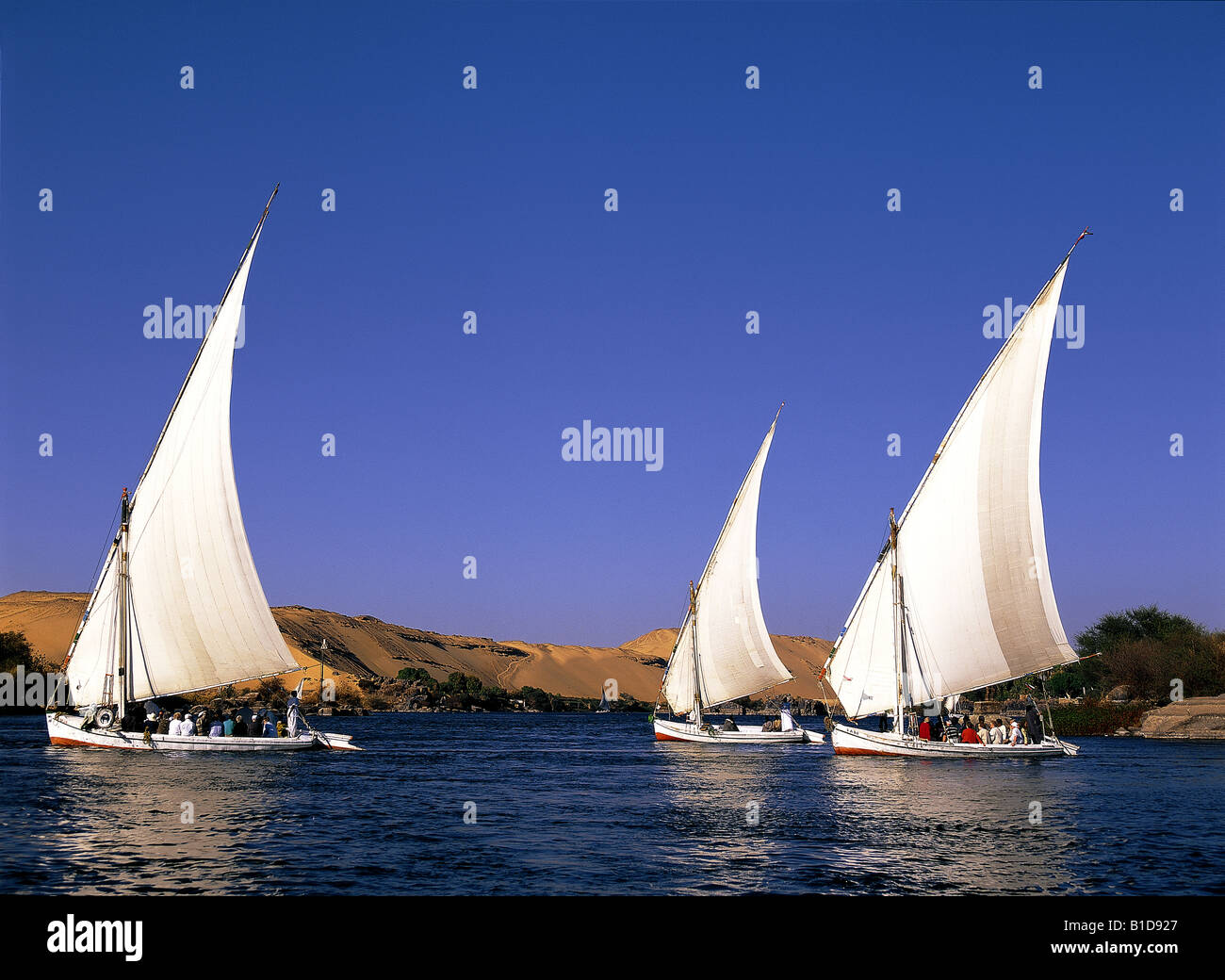 Feluccas on the Nile at Aswan Egypt Stock Photo - Alamy