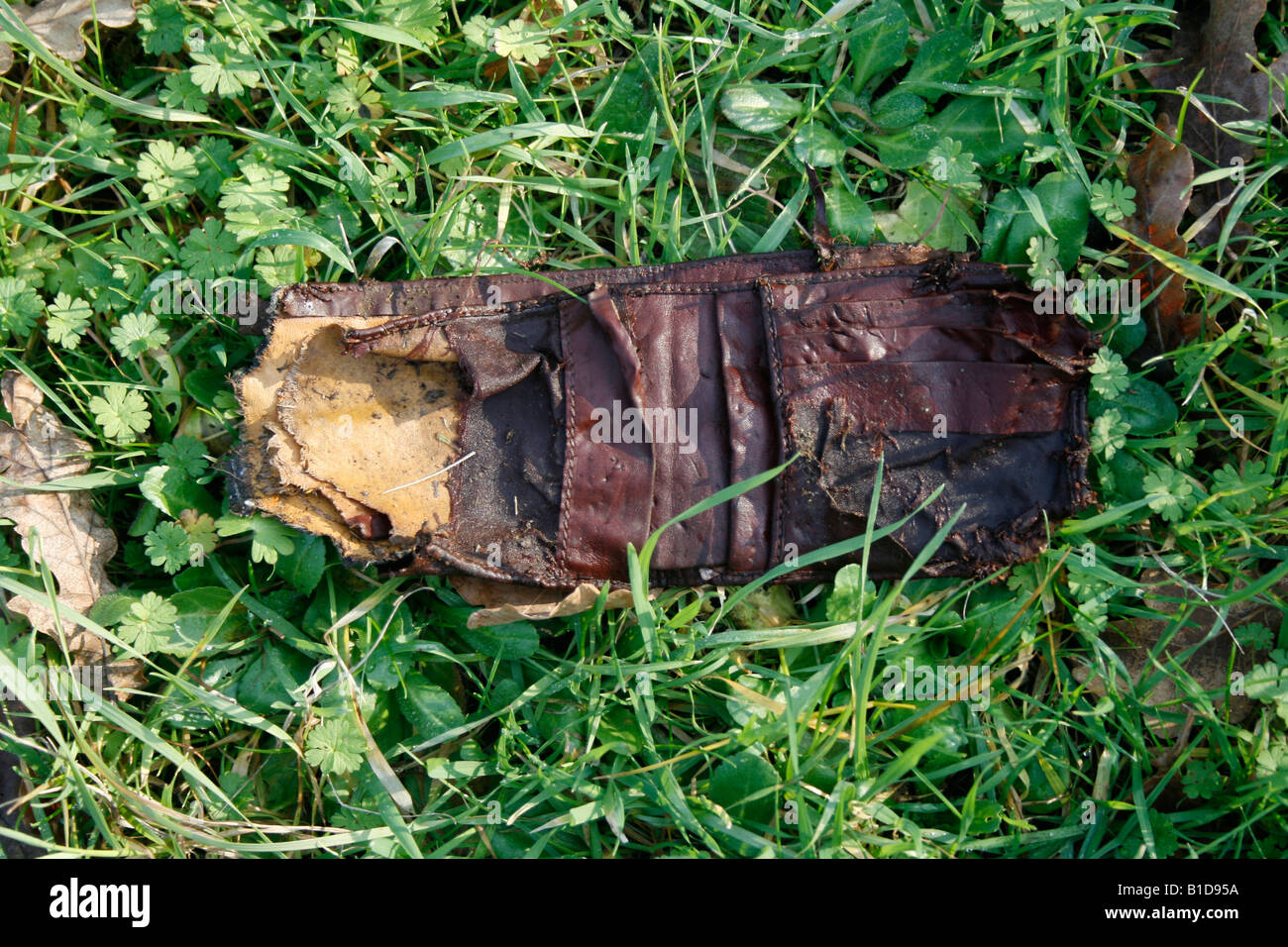 one damaged wallet left in countryside Stock Photo - Alamy