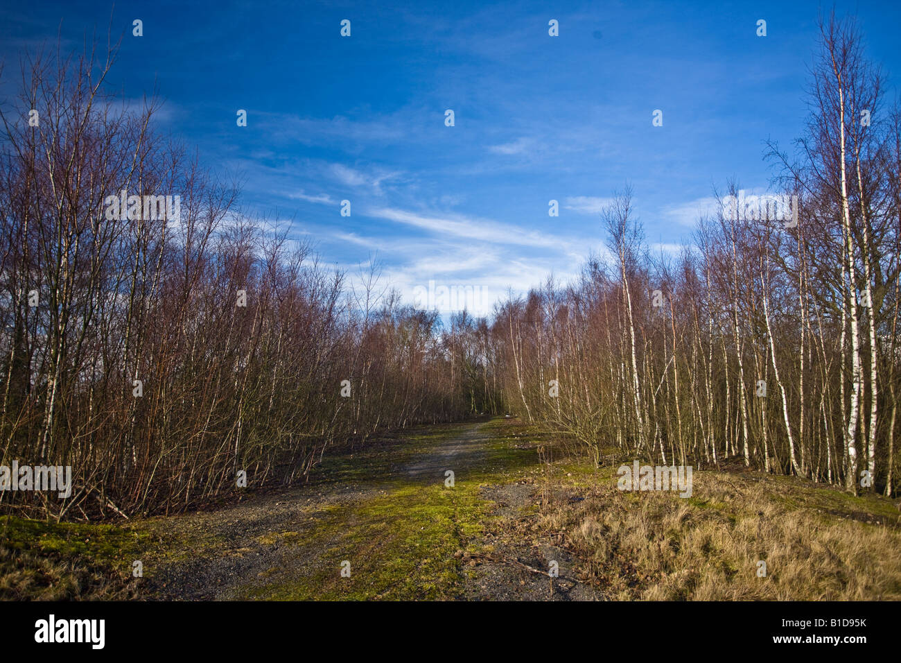Maynard park hi-res stock photography and images - Alamy