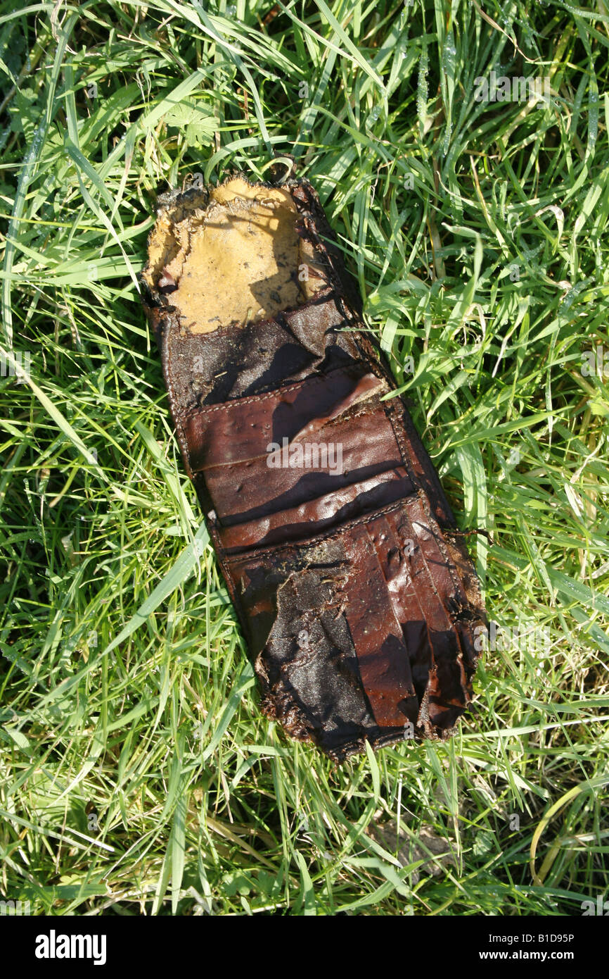 one damaged wallet left in countryside Stock Photo - Alamy