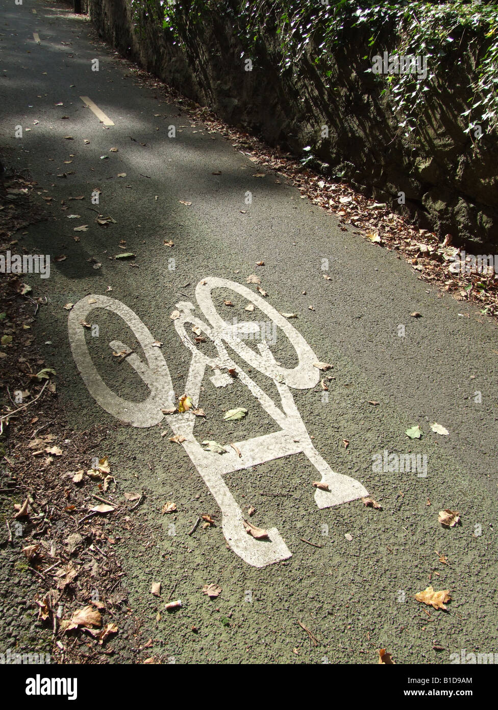 empty cycle path in countryside Stock Photo - Alamy