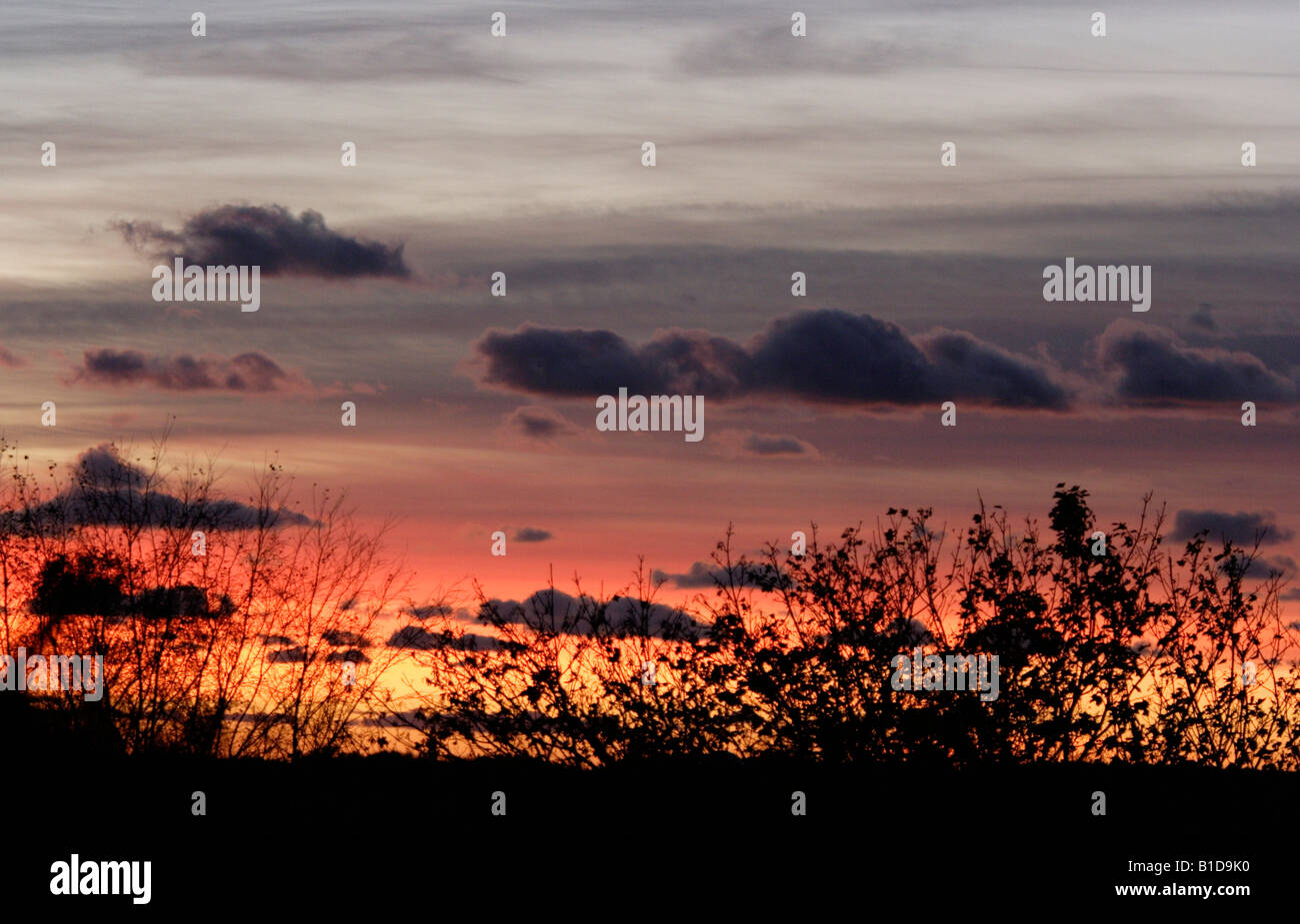 Magic evening light Stock Photo - Alamy