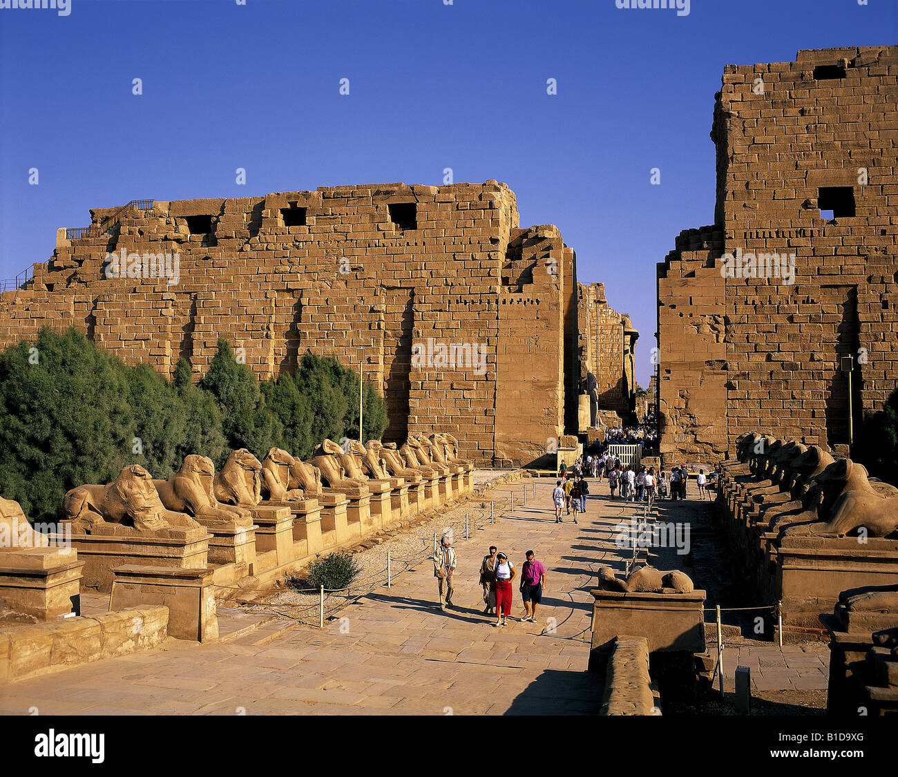 Avenue of rams,Temple of Amon at Karnak Egypt Stock Photo - Alamy