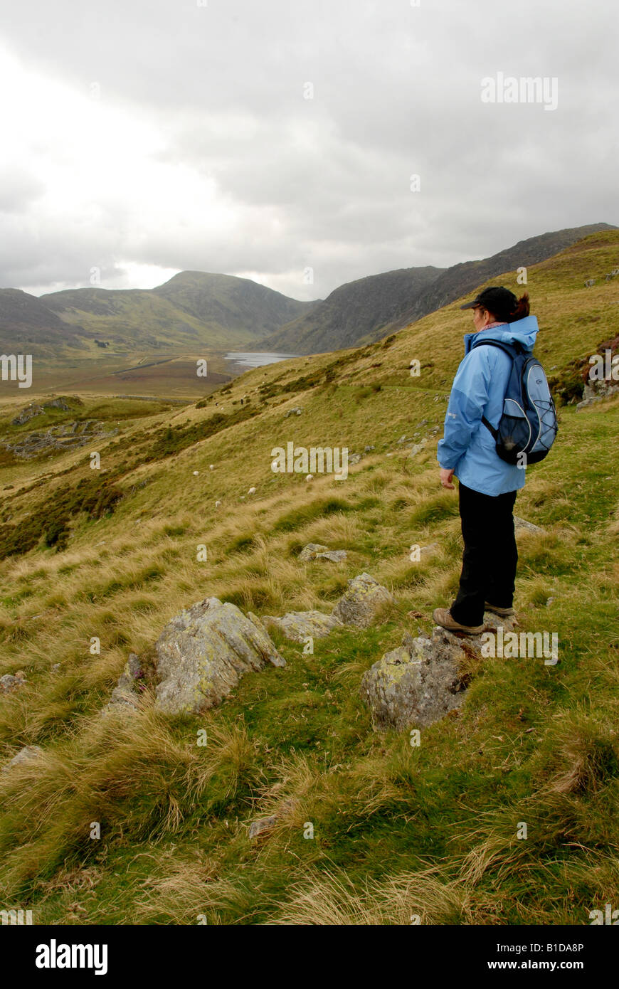 Dulyn wales hi-res stock photography and images - Alamy