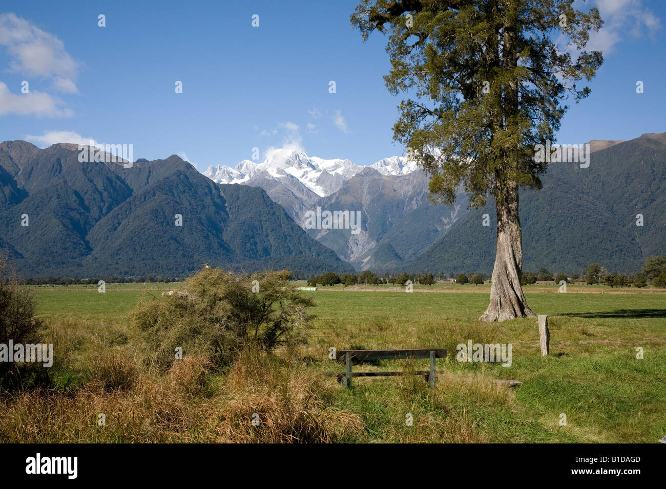 view from the edge of lake matheson south island towards aoraki mount ...