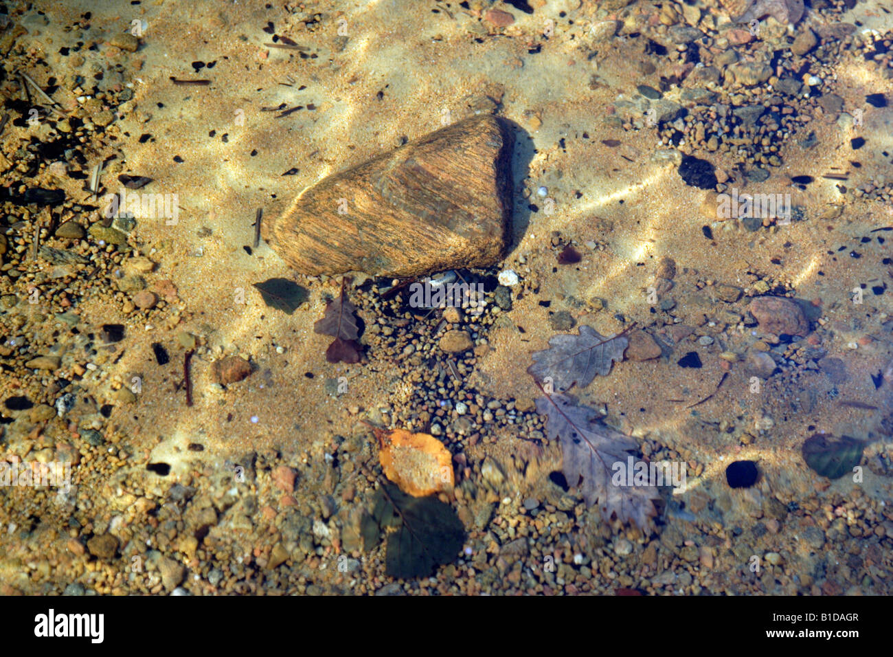Autumn light playing on the water surface Stock Photo - Alamy