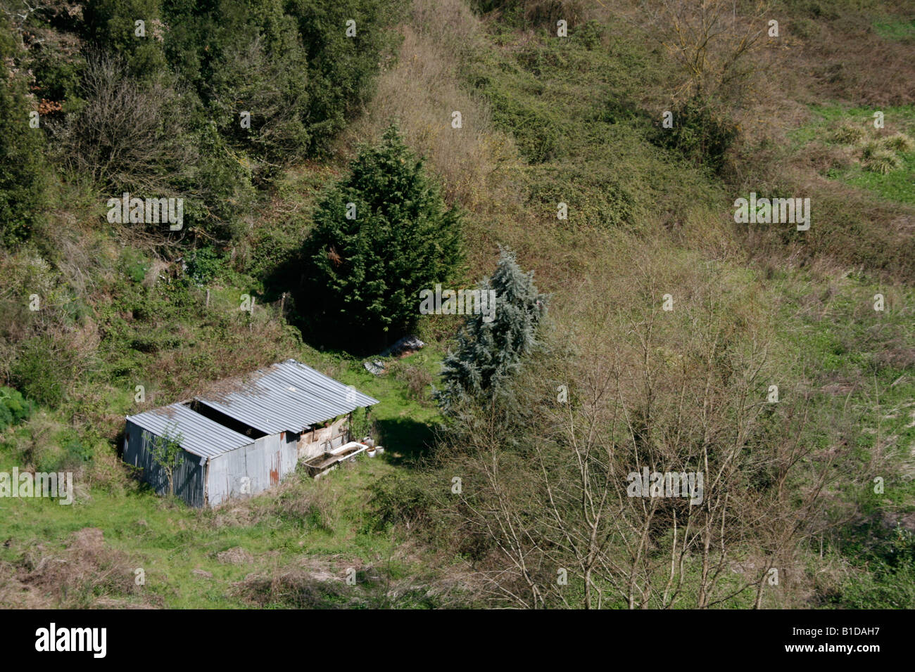 Old overgrown ramshackle hut hi-res stock photography and images - Alamy