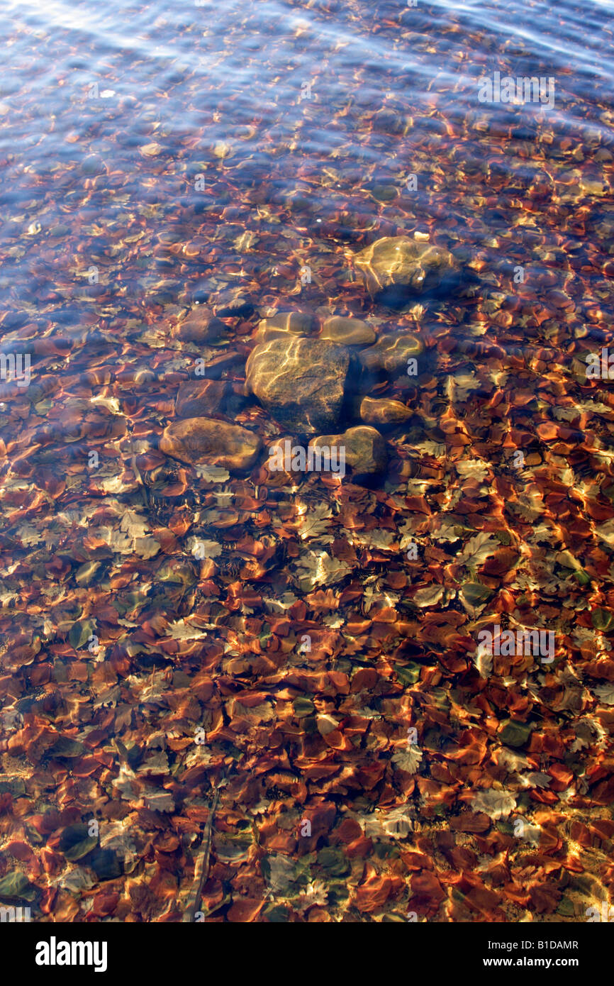 Elements wave contour surface hi-res stock photography and images - Alamy