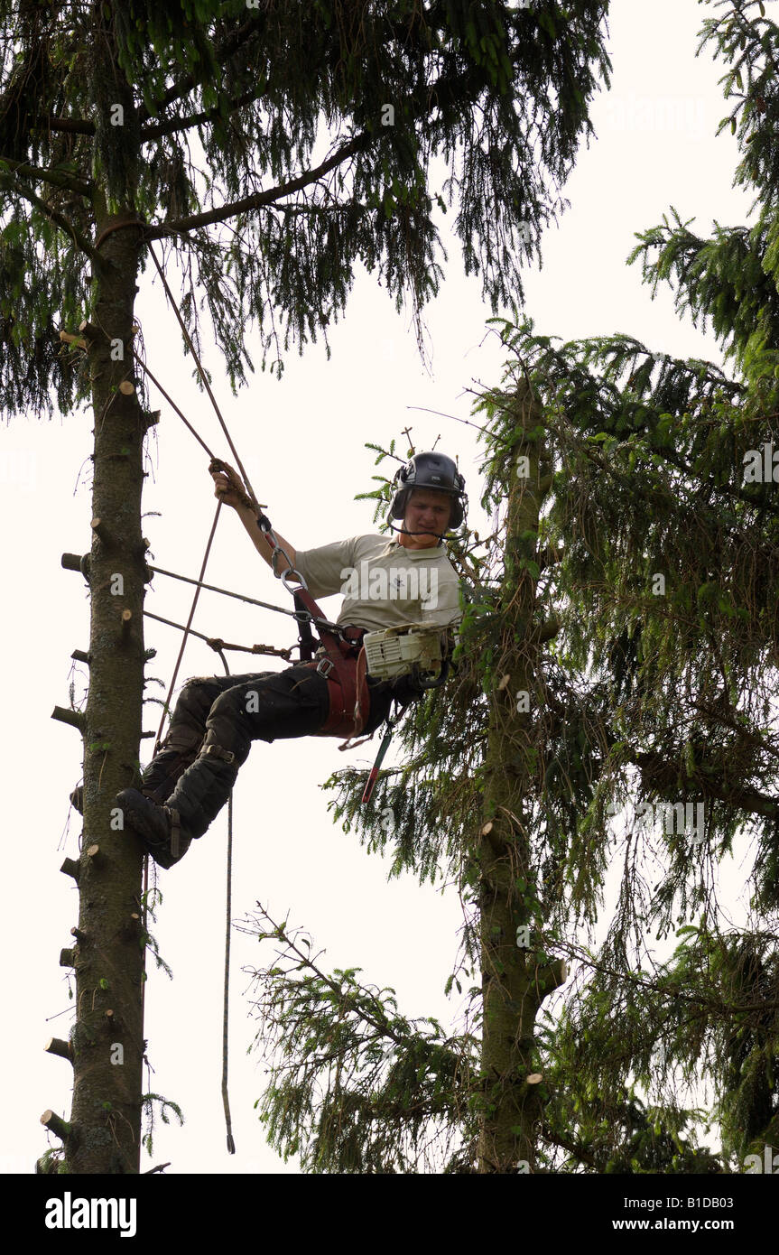Tree trimming power lines hi-res stock photography and images - Alamy