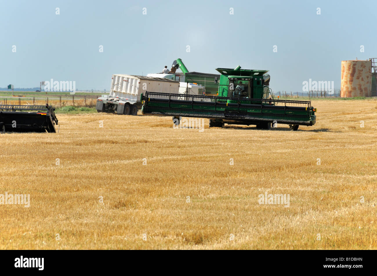 Custom Combine Harvesters