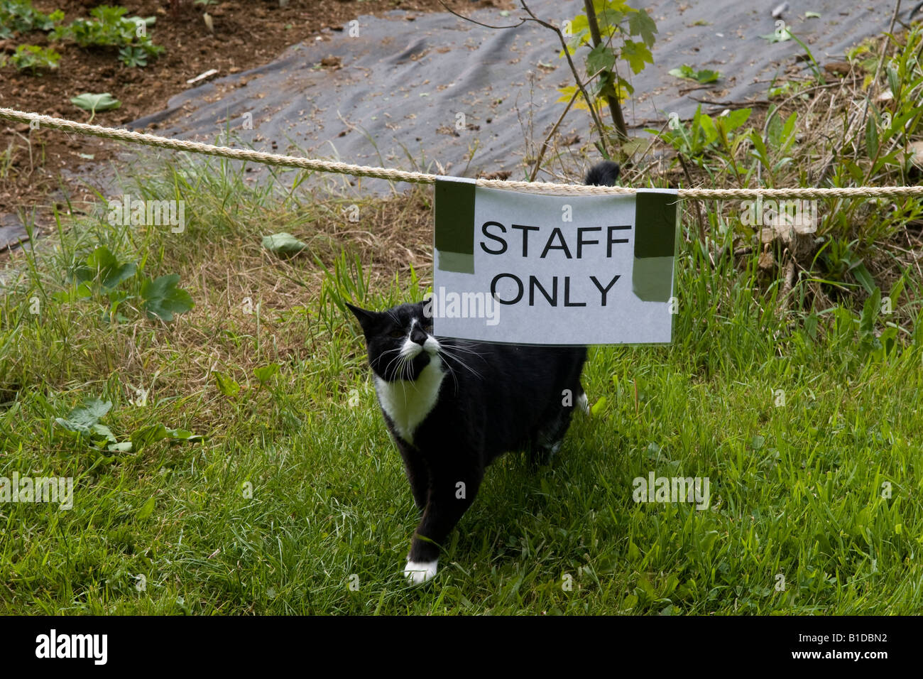 Staff only sign hi-res stock photography and images - Alamy
