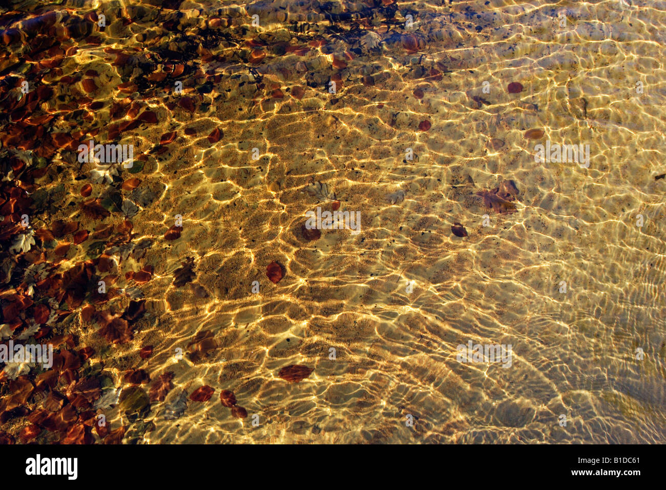 Elements wave contour surface hi-res stock photography and images - Alamy