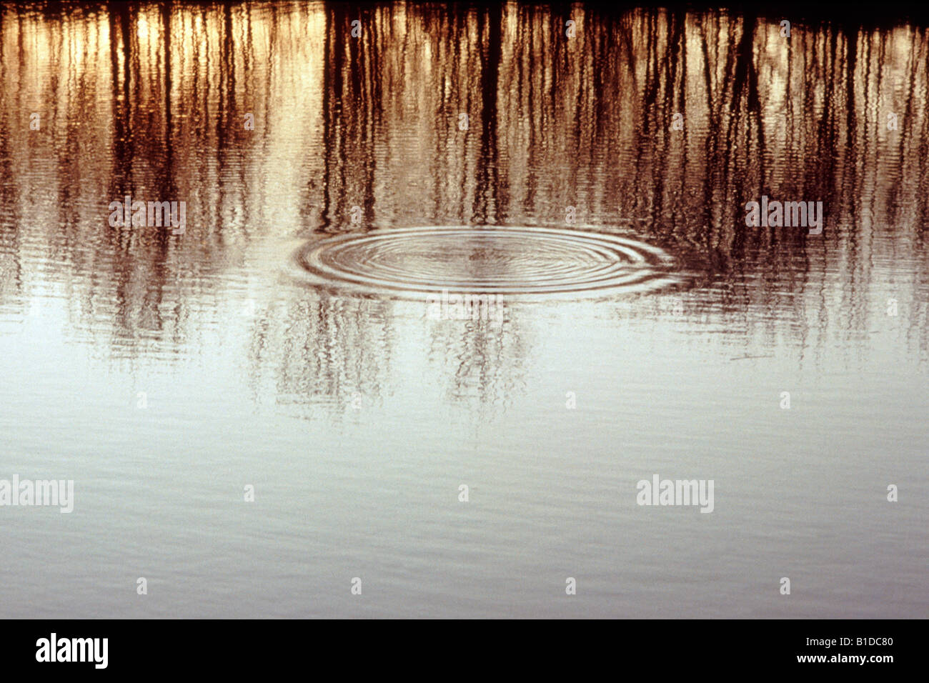 drop falling on lake Stock Photo - Alamy