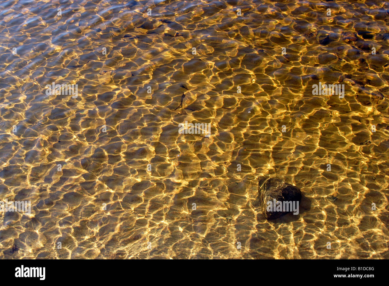 Autumn light playing on the water surface Stock Photo - Alamy