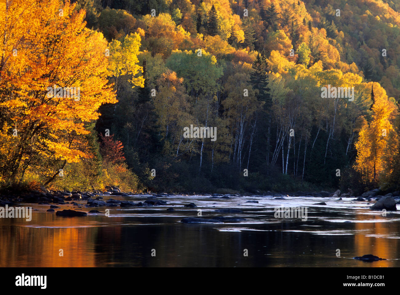 Algoma district hi-res stock photography and images - Alamy