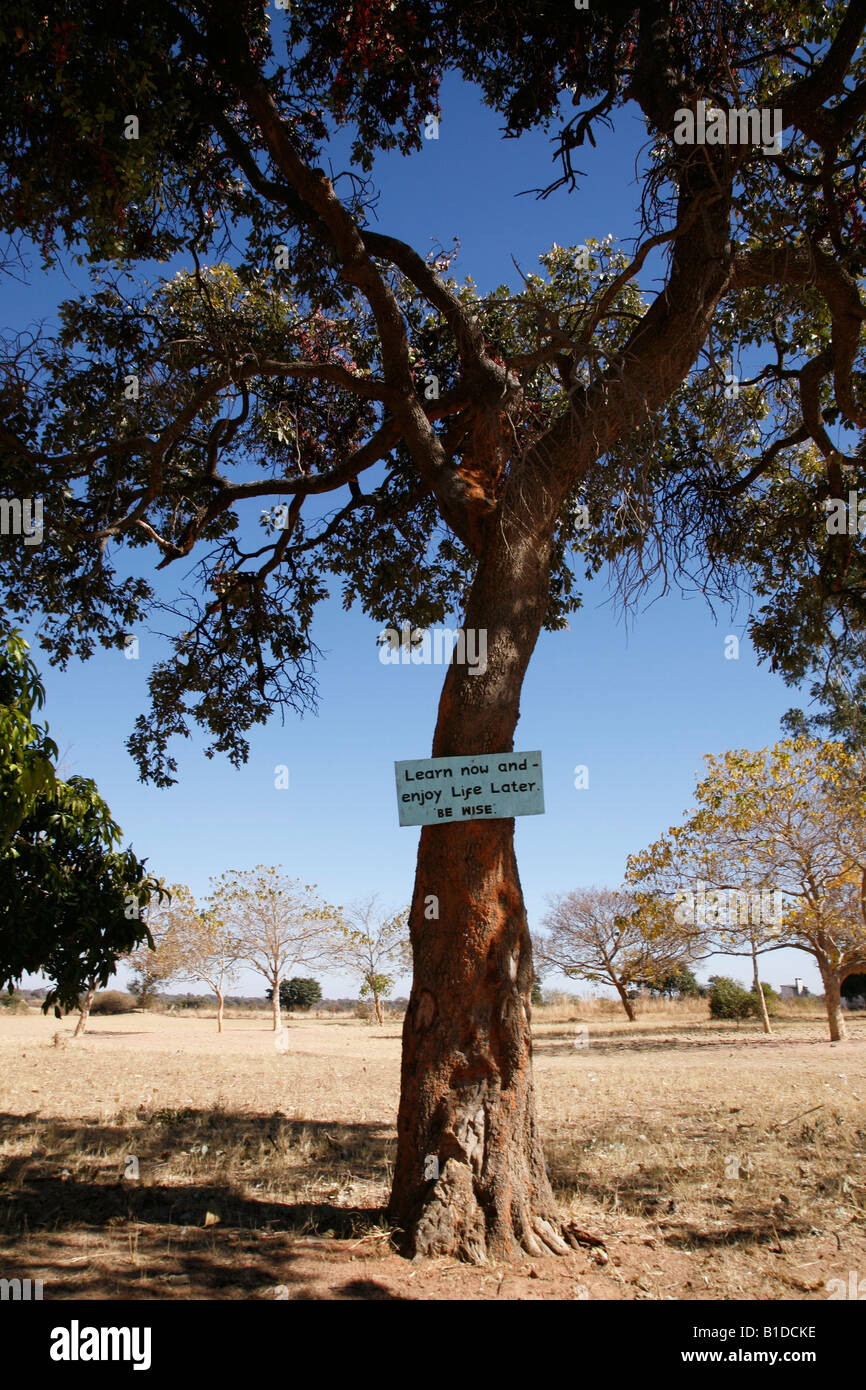 'Learn now and enjoy life later BE WISE' sign at a Zambian school Stock ...