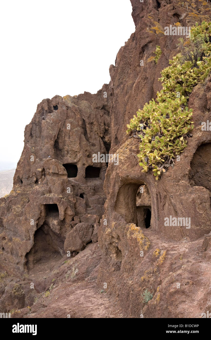 Troglodyte cave dwellings at Cueva de los Pilares Gran Canaria Spain ...