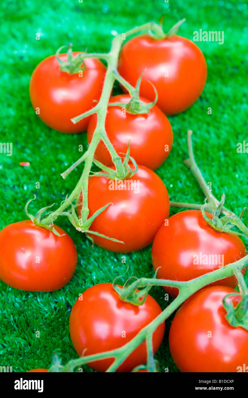 Tomato vine hi-res stock photography and images - Alamy