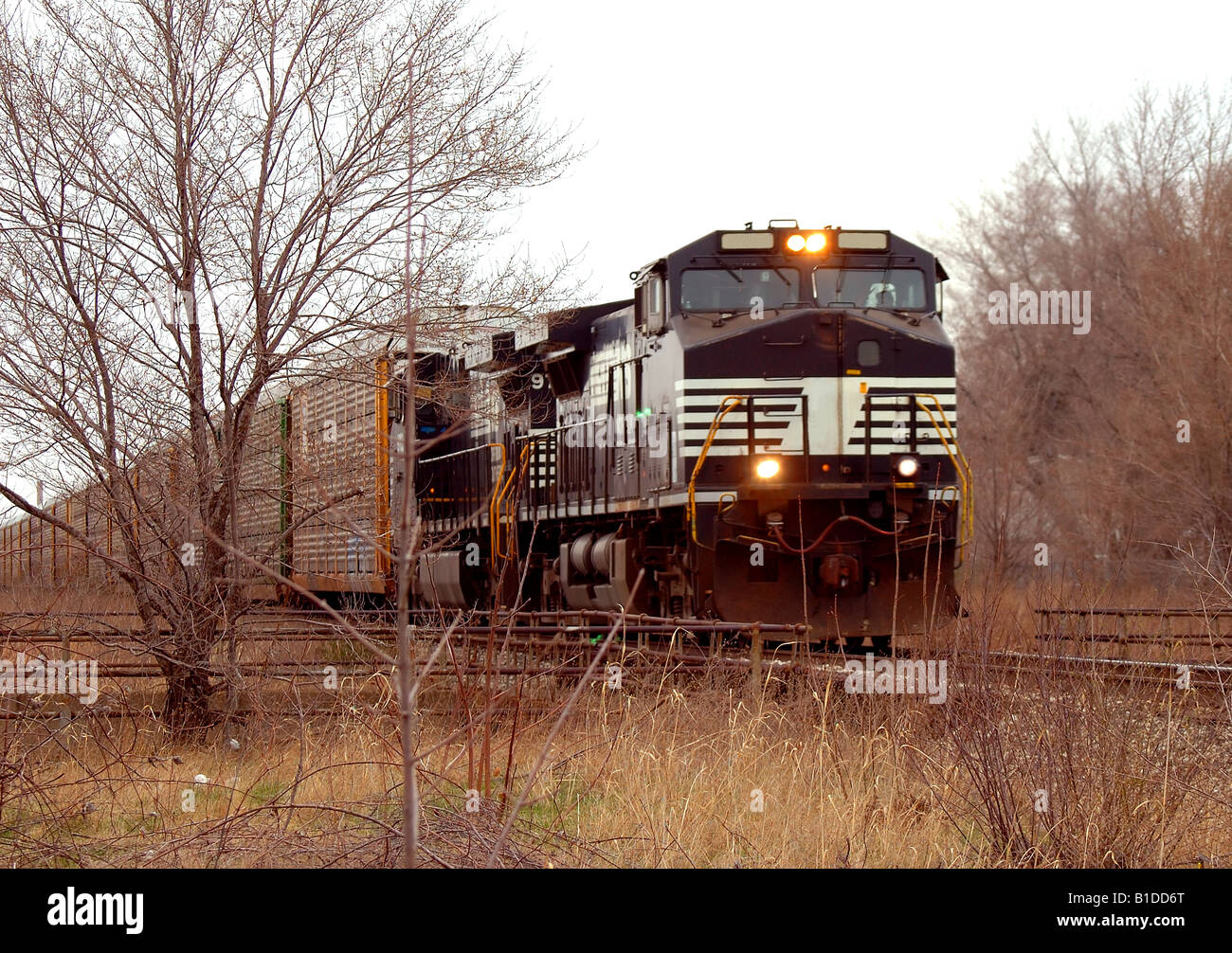 Black Horse Train Stock Photo - Alamy