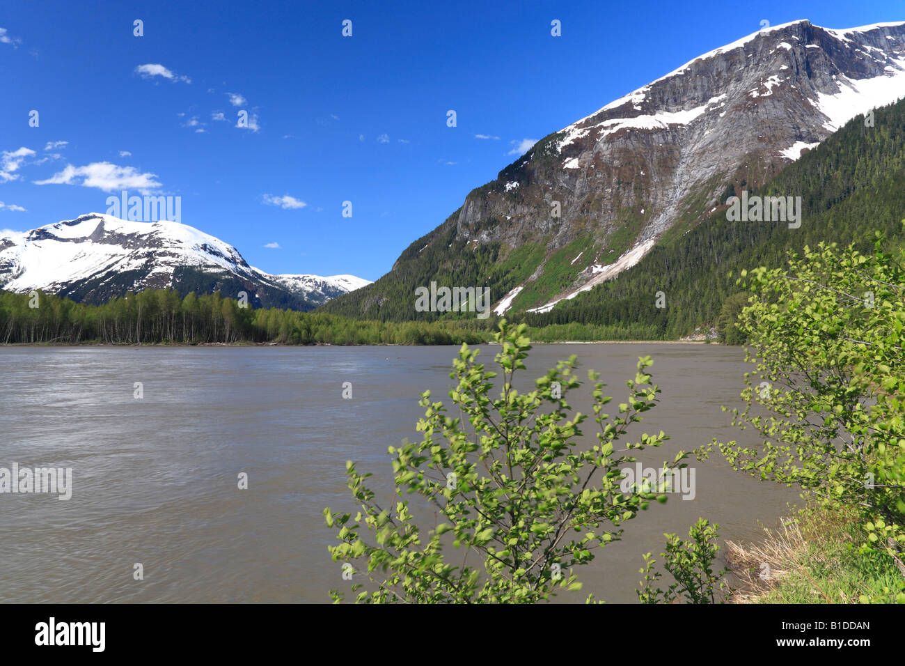 Mountain scenery and Skeena river between Terrace and Prince Rupert BC ...