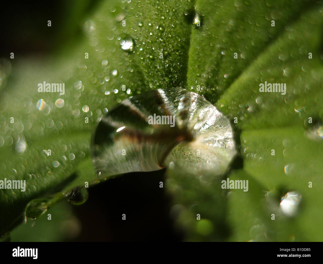 Waterdrop illustration hi-res stock photography and images - Alamy