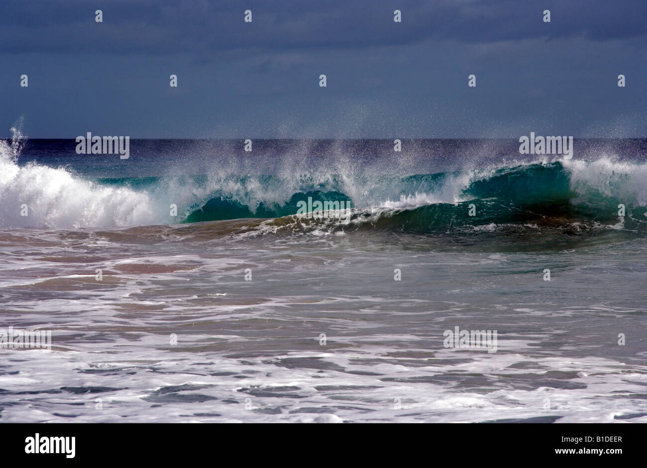 Gale at the beach Stock Photo - Alamy