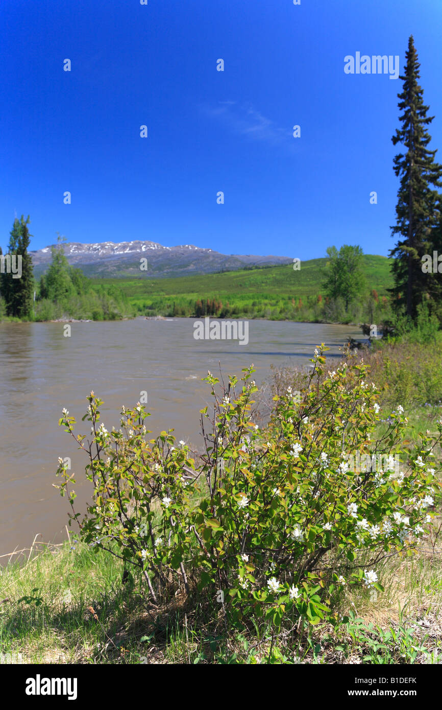 Bulkley valley scenic hi-res stock photography and images - Alamy