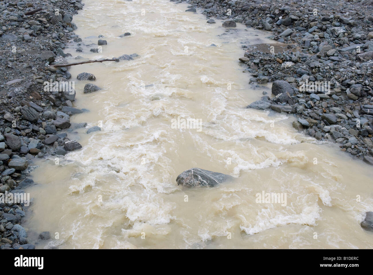 New zealand storm bush mist hi-res stock photography and images - Alamy
