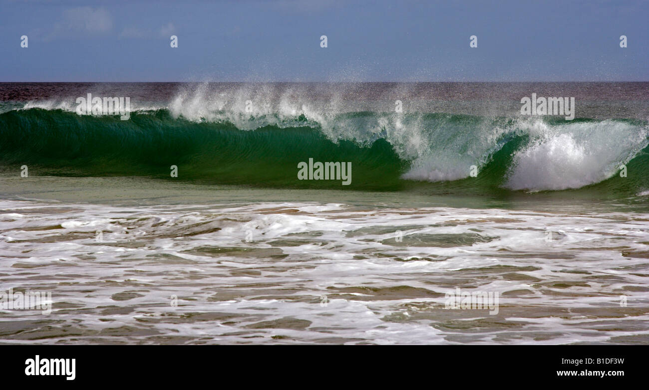 Gale at the beach Stock Photo - Alamy